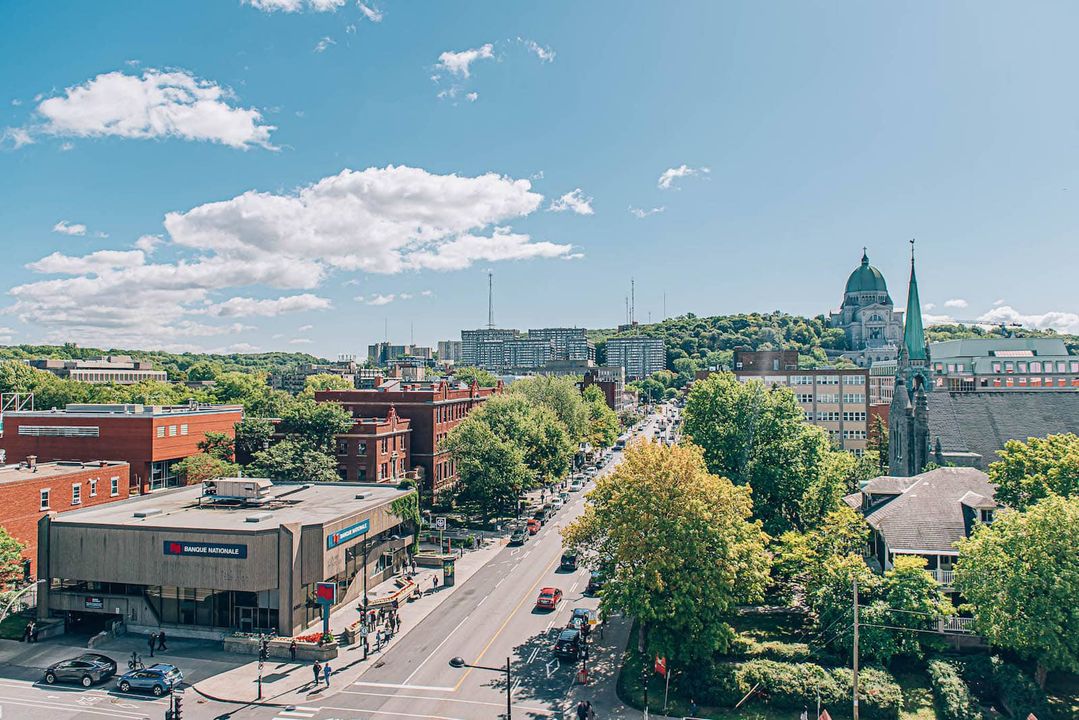 Neighborhood guide to Côte-des-Neiges: From the essential to the ...